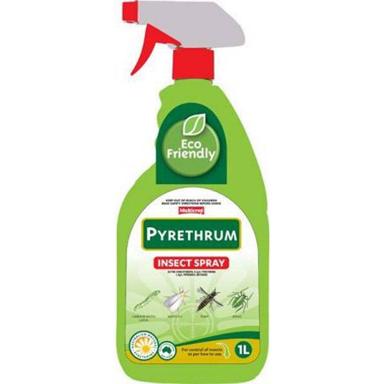 Pyrethrum Insect Spray, 1L – Cheap as Chips